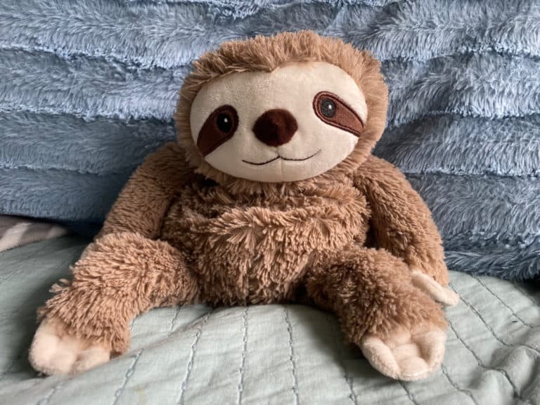 'Do You Want Your Microwaveable Sloth?'and Other Big Questions