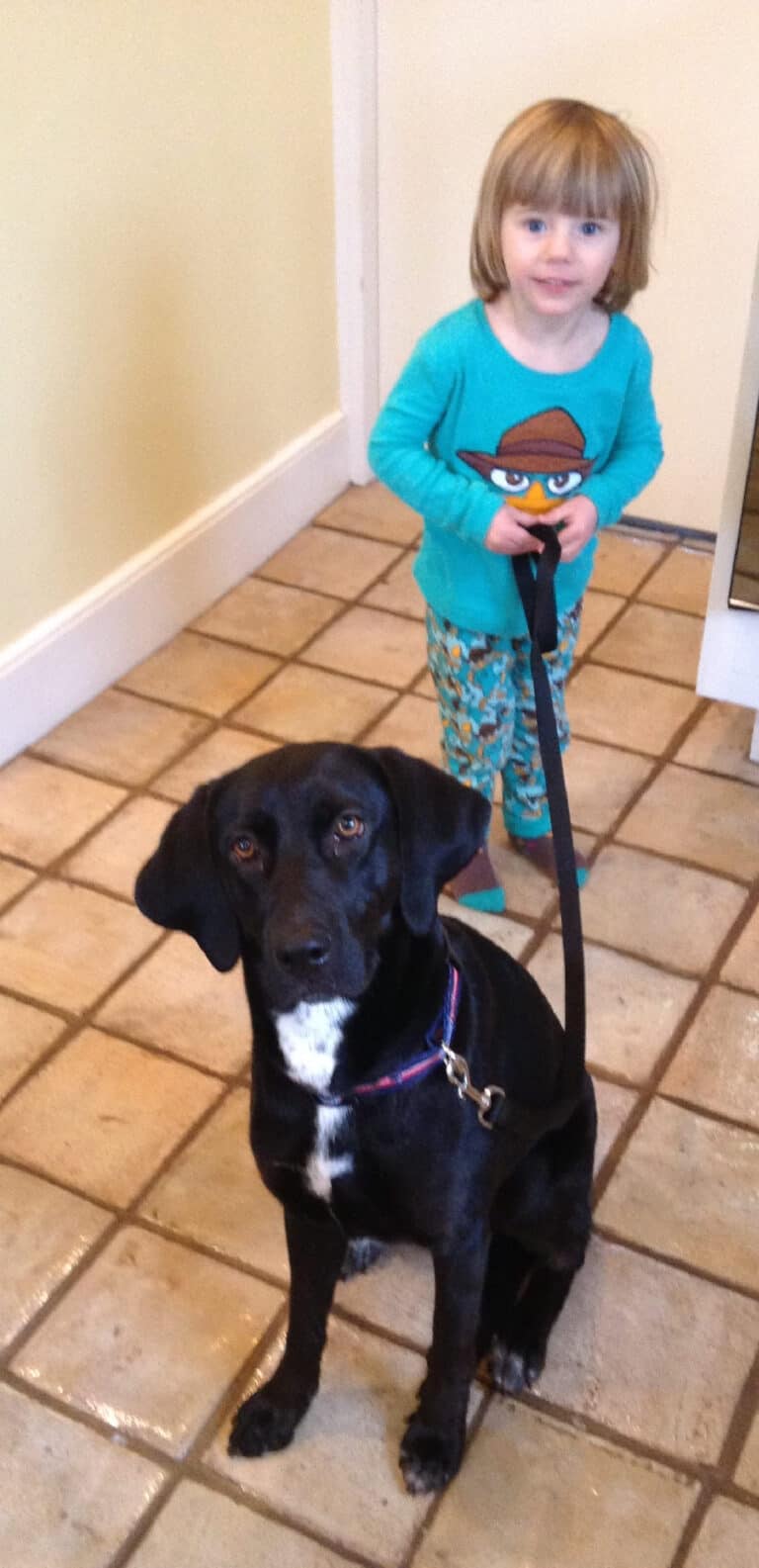 To The Dog Who Raised My Kids, Thank You - Grown and Flown